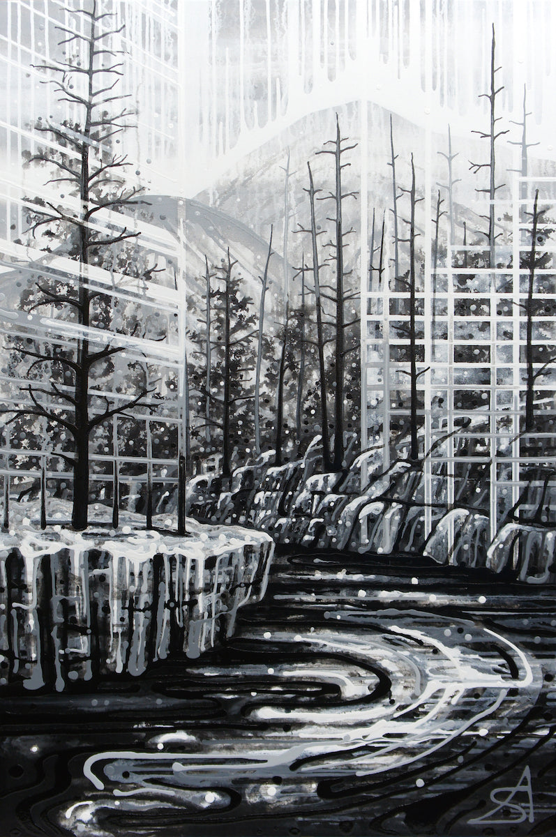 Ash Forest (Toronto + Kootenay National Park) – Amy Shackleton