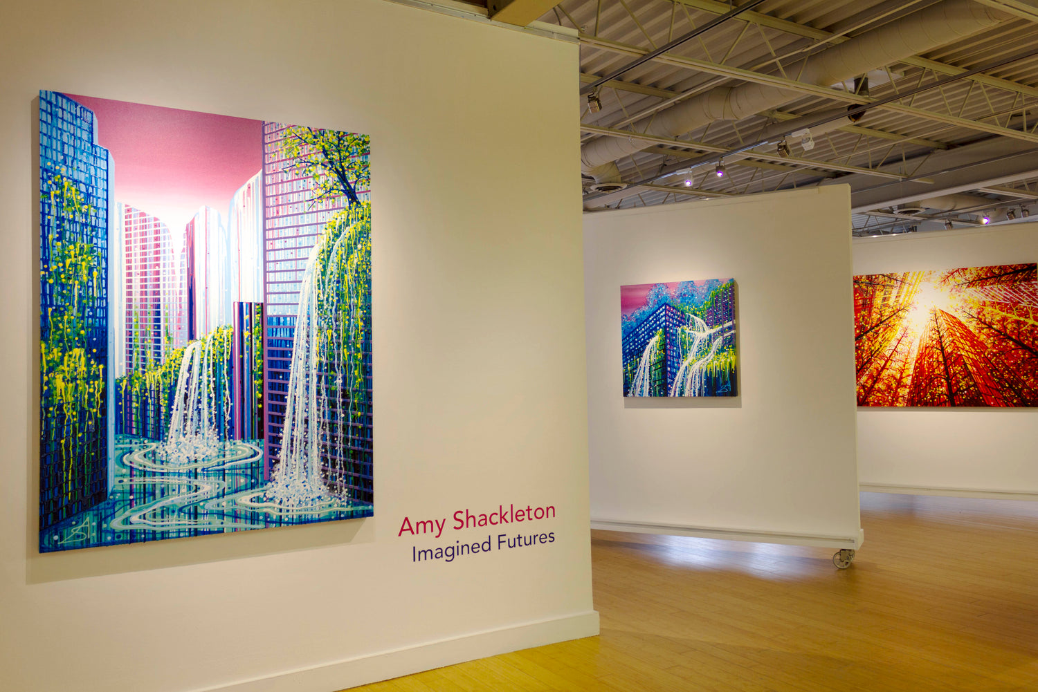 Amy Shackleton - Gravity Artist